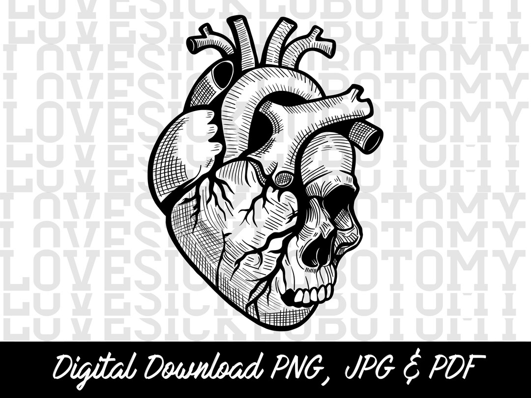 Broken Heart, Skeleton, Anatomical Heart, Human Skull, Love, Heart ...
