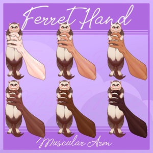 Vtuber Ferret Hand, Vtuber Hands, Vtuber Arms, Vtuber Animal Asset, Vtuber Asset, Vtuber ...