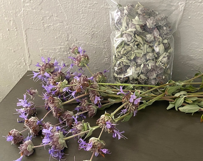 Thistle Sage Seeds|salvia Carduacea|california Native Plants|native ...