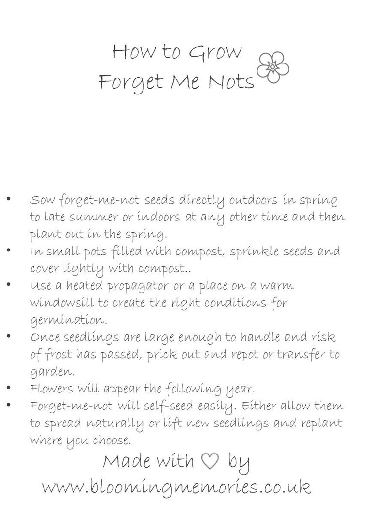 Personalised Funeral Forget Me Not Seed Packets Favour Flowers - Etsy UK
