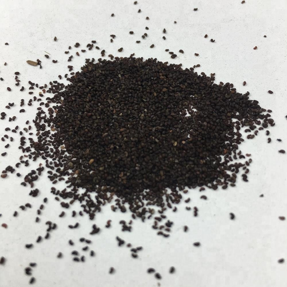 Personalised Funeral Forget Me Not Seed Packets Favour Flowers - Etsy UK