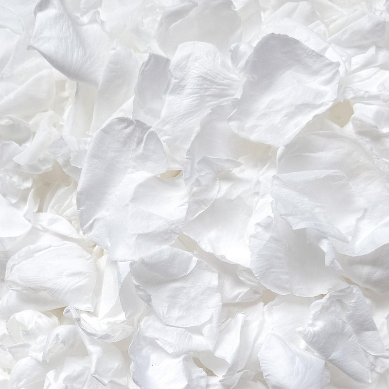 FlauraeConfetti - Etsy Australia
