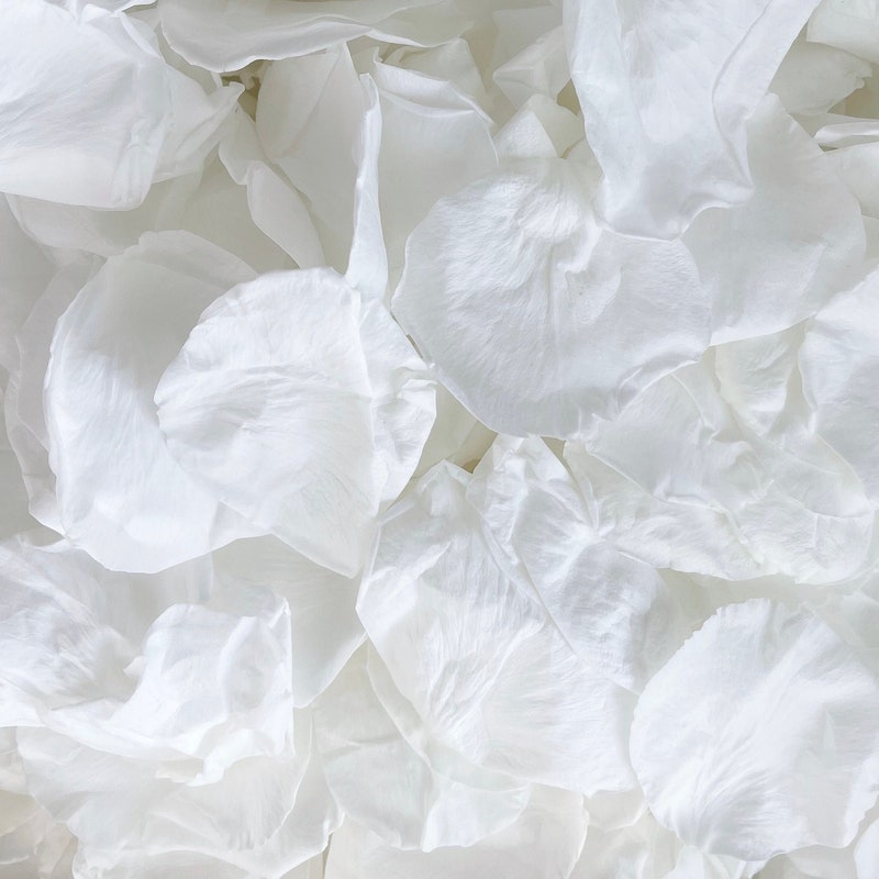 FlauraeConfetti - Etsy Australia