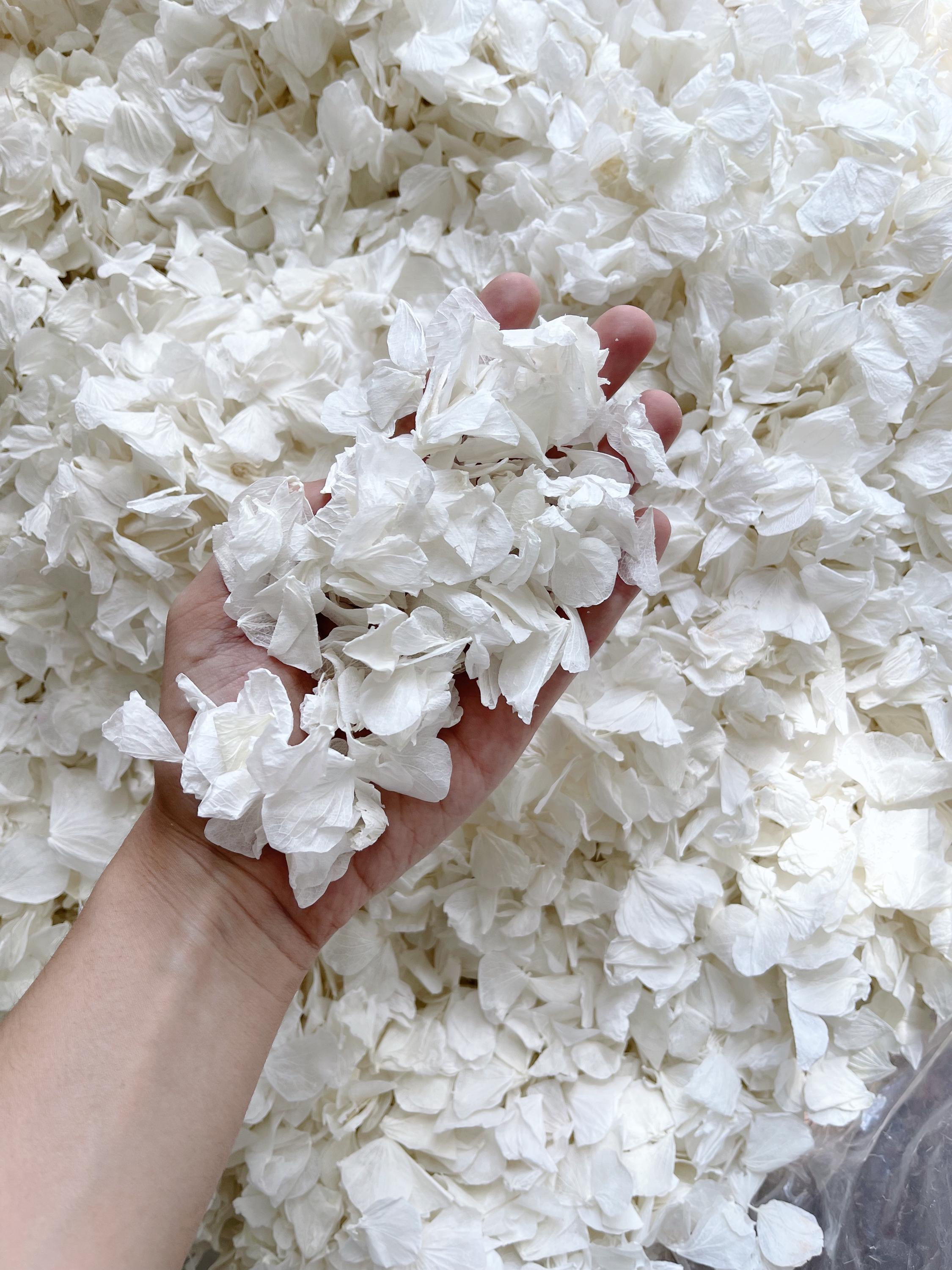 White Flower Confetti + Wedding Cones, Wedding Decor, Biodegradable ...