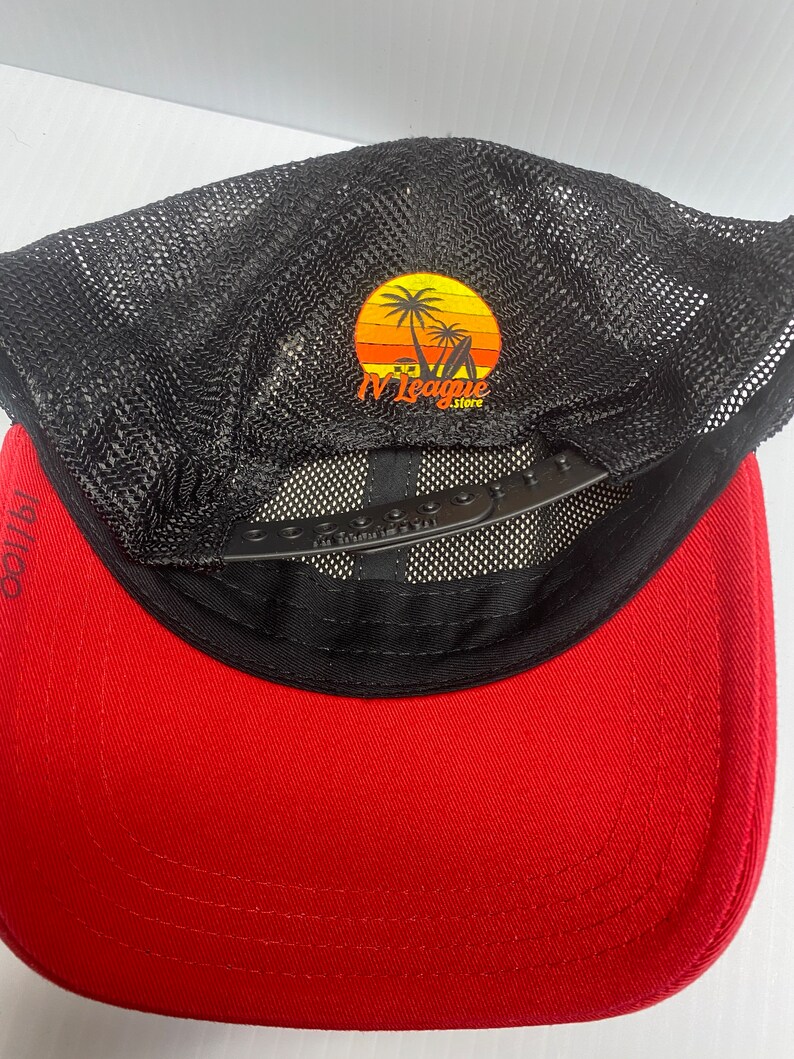 Trash Panda - Isla Vista Dad Style - Etsy