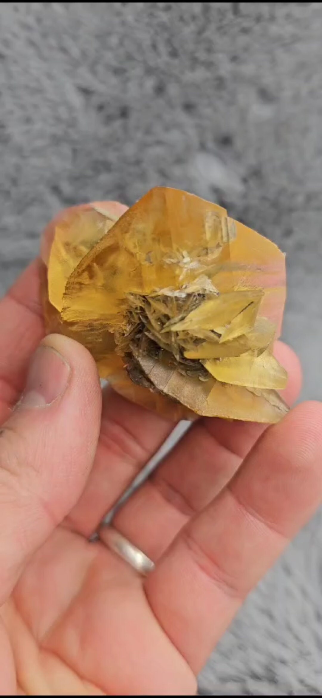 Red river Manitoba Gypsum, Golden Selenite, Winnipeg Gypsum - Etsy 日本