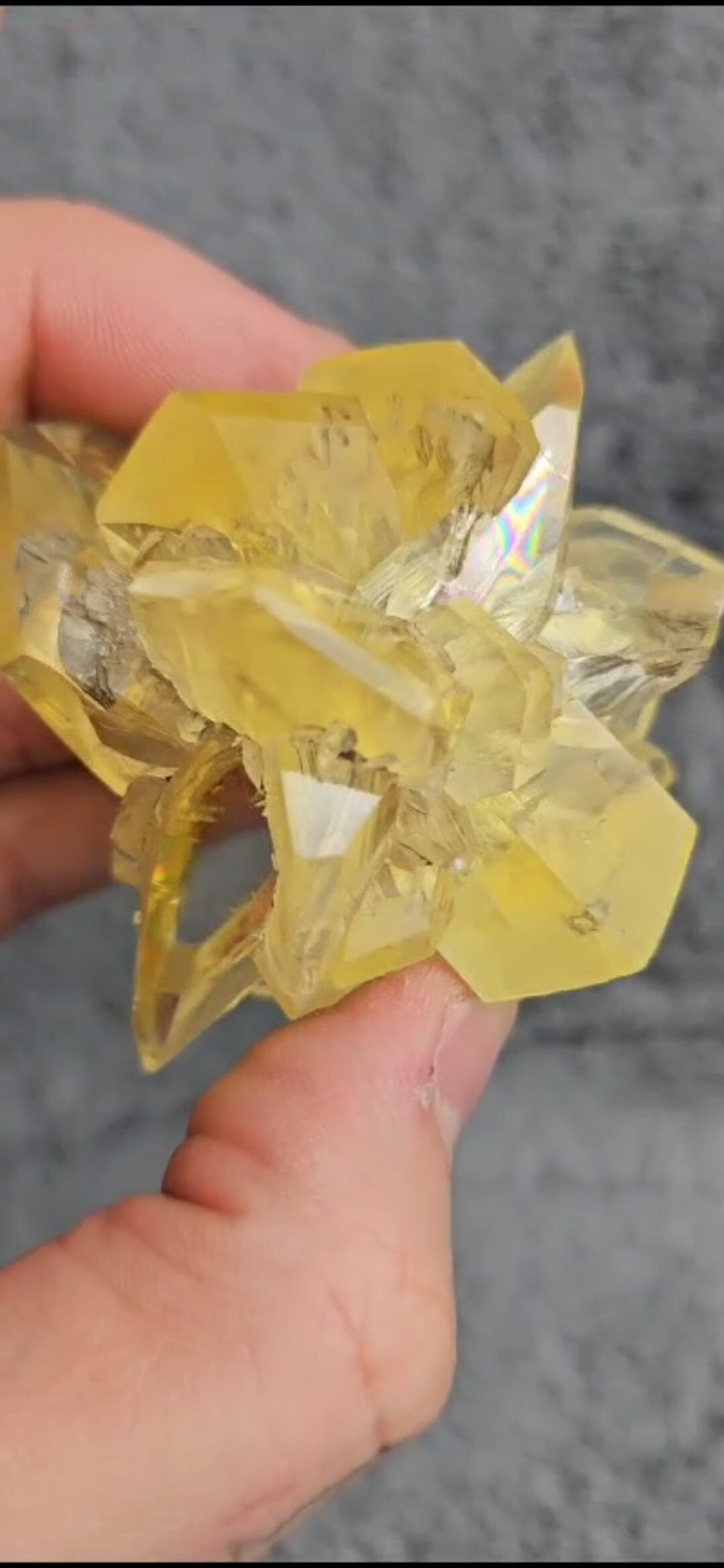 Red River Manitoba Gypsum, Golden Selenite, Winnipeg Gypsum - Etsy