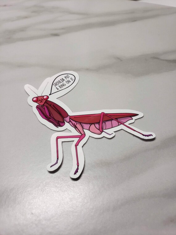 Funny Bug Sticker Jealous Ex Sticker Praying Mantis Sticker - Etsy