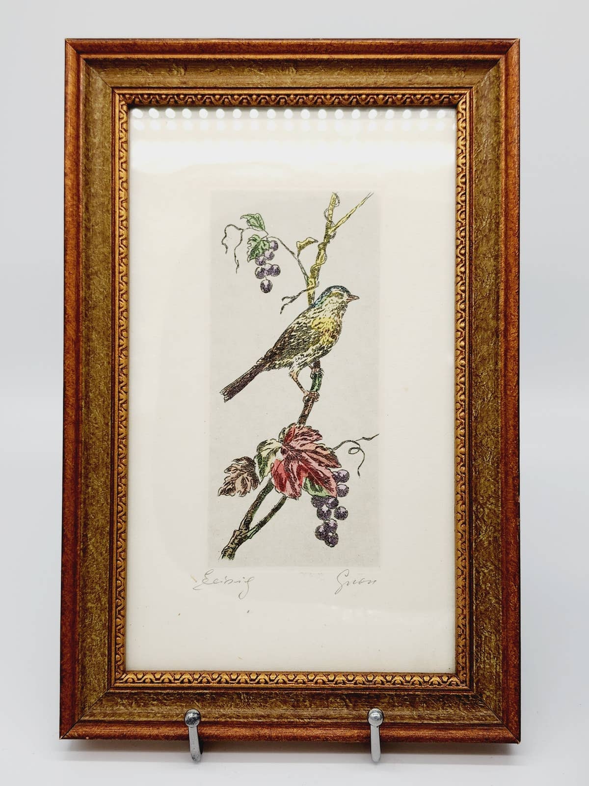 Vintage Set of 2 Bird Etchings (colored) Fine Art Imports, Framed ...