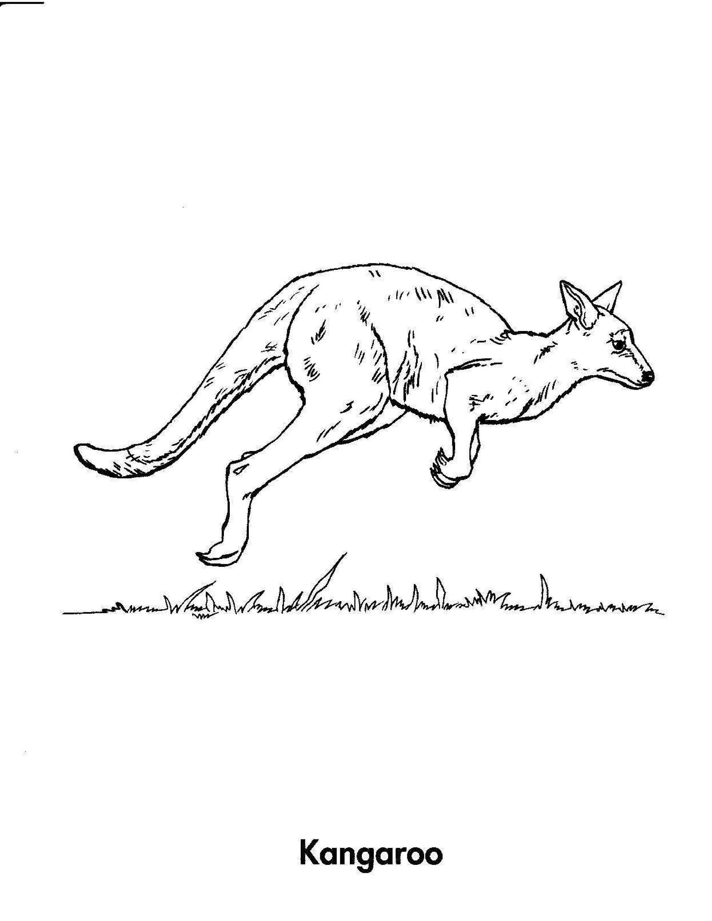 COOL Creatures - 94 Printable Coloring & Activity Pages - Etsy