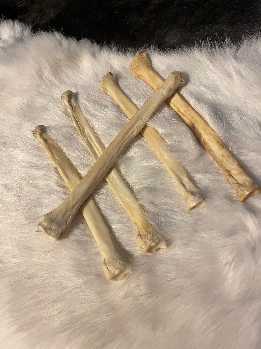 3 Question Bone Reading - Etsy
