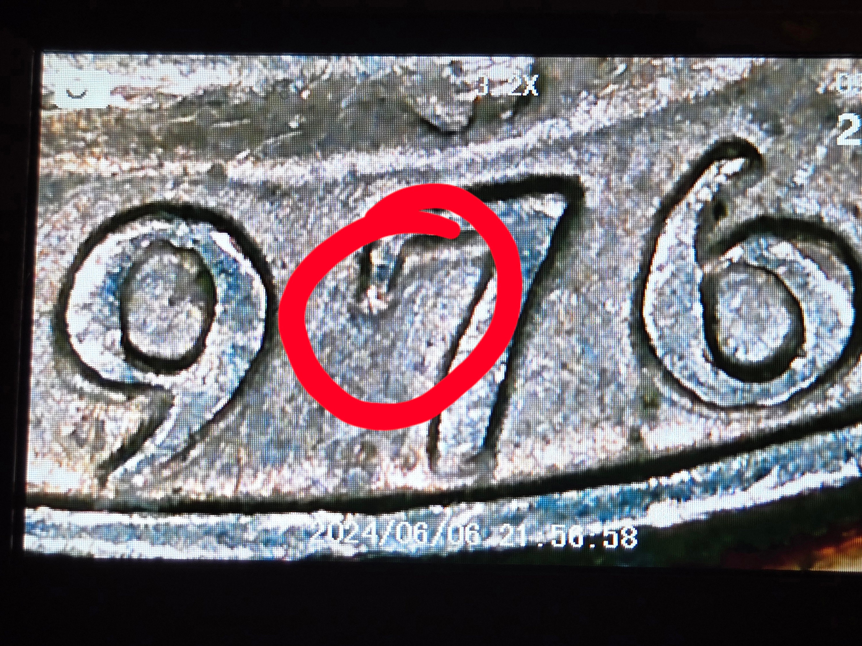 1976D Bicentennial Quarter With Multiple Errors - Etsy