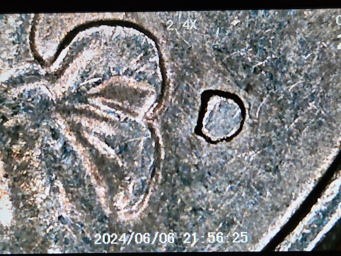 1976D Bicentennial Quarter With Multiple Errors - Etsy