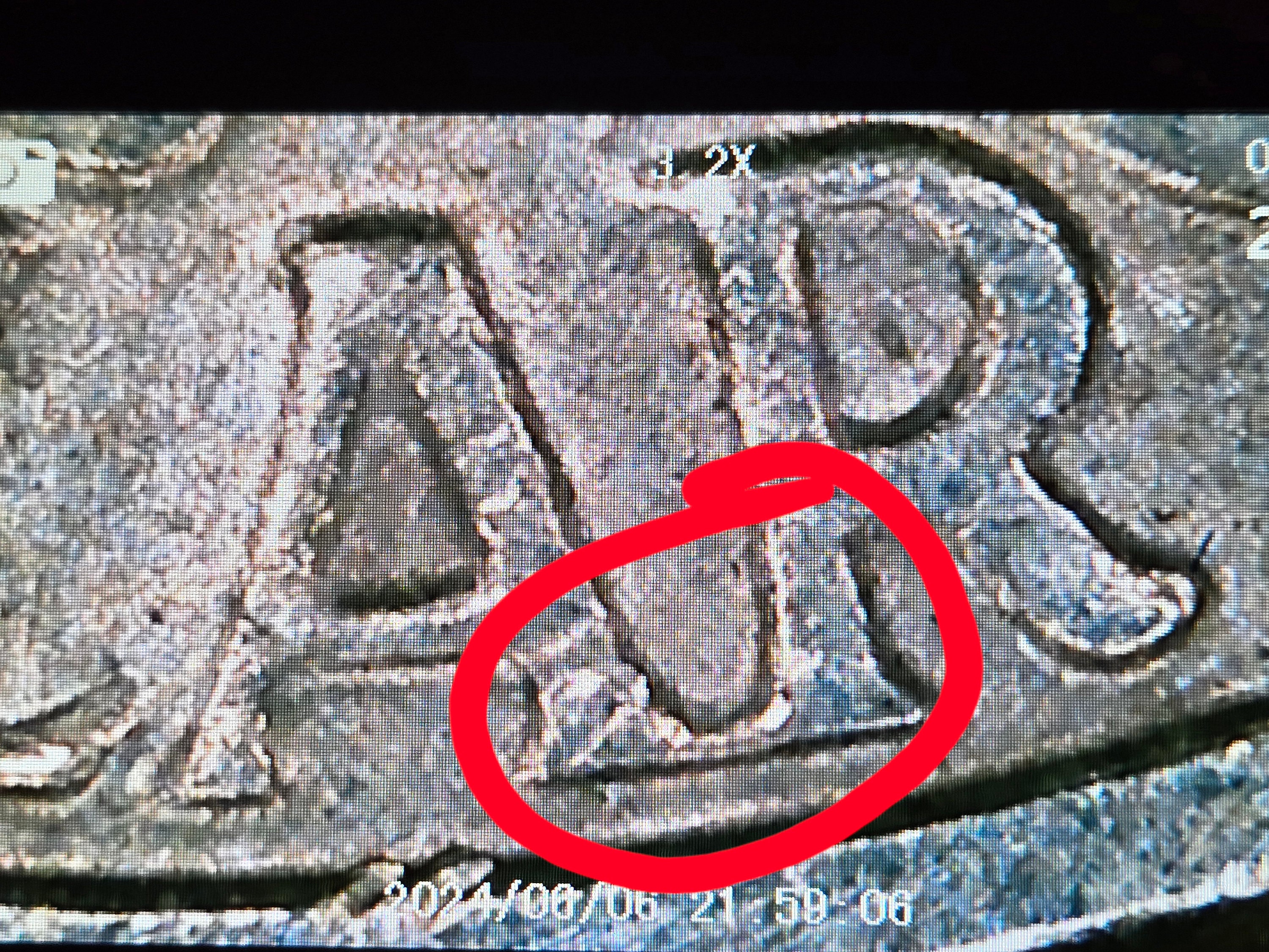 1976D Bicentennial Quarter With Multiple Errors - Etsy