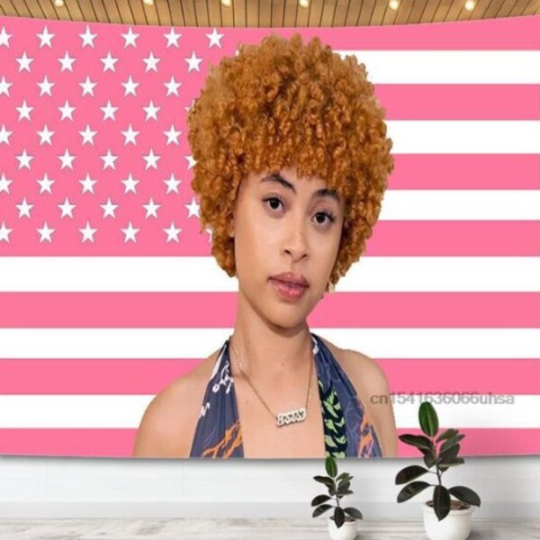 Ice Spice American Flag - Etsy