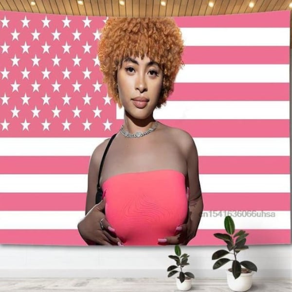 Ice Spice American Flag - Etsy