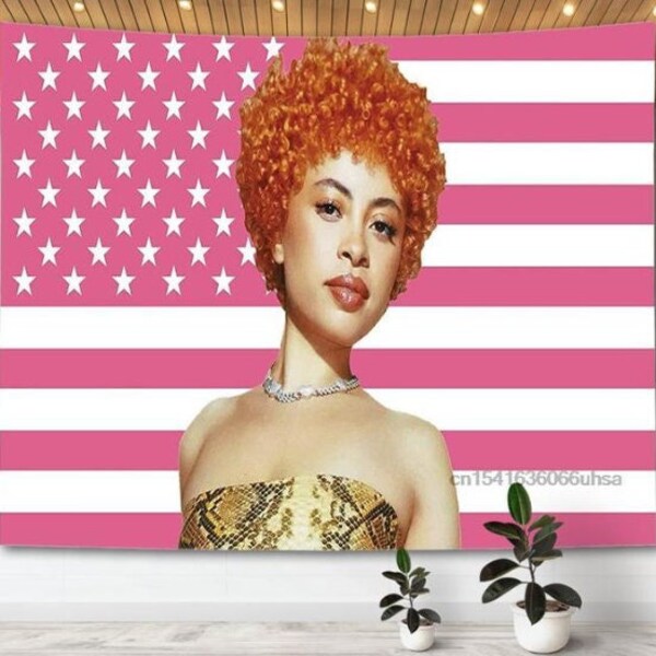 Ice Spice American Flag - Etsy