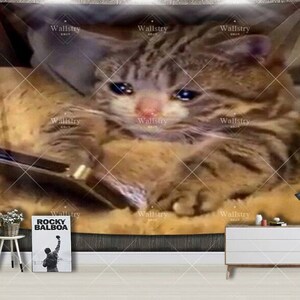 Cat Meme Tapestry Hippie, Wall Hanging, Gimic, Joke, Birthday Present ...