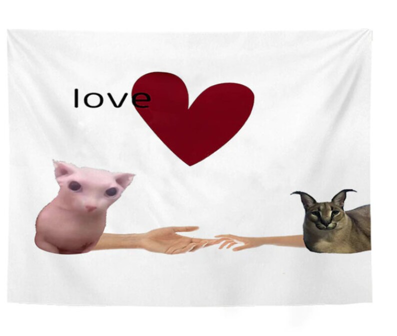 This is Bingus Tapestry Dorm Room Decorations Wall Decor - Etsy