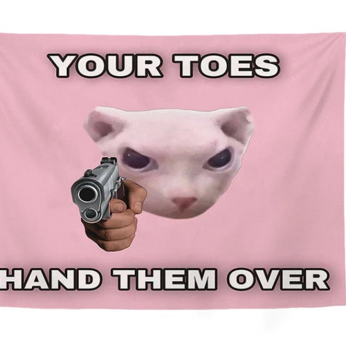 Bingus Toes Tapestry Dorm Room Decorations Wall Decor This - Etsy