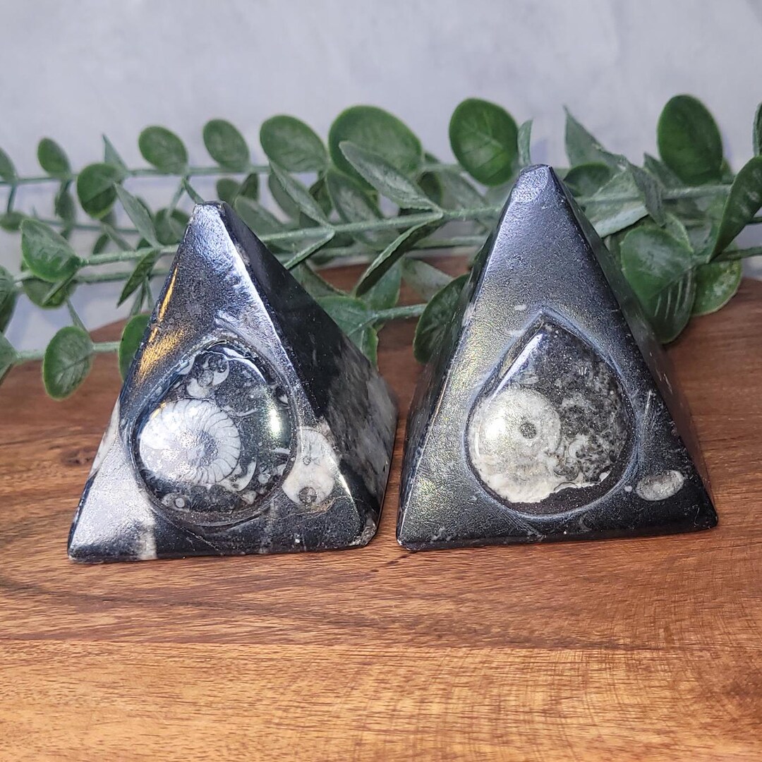 Ammonite and Orthocera Fossil Pyramid, Unique Fossil Home Decor, Great ...