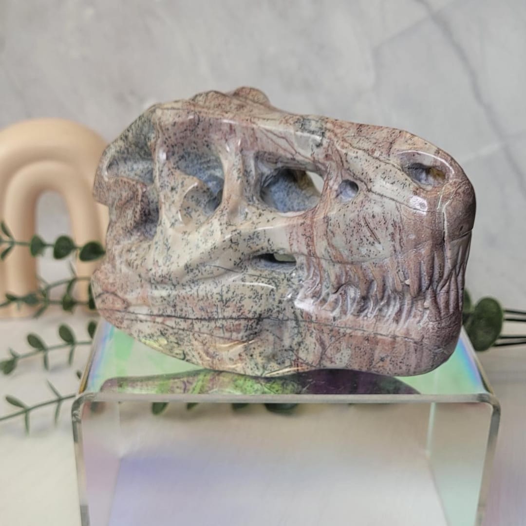Ocean Jasper Dinosaur Skull Carving, Large T-rex Crystal Skull, Dino ...