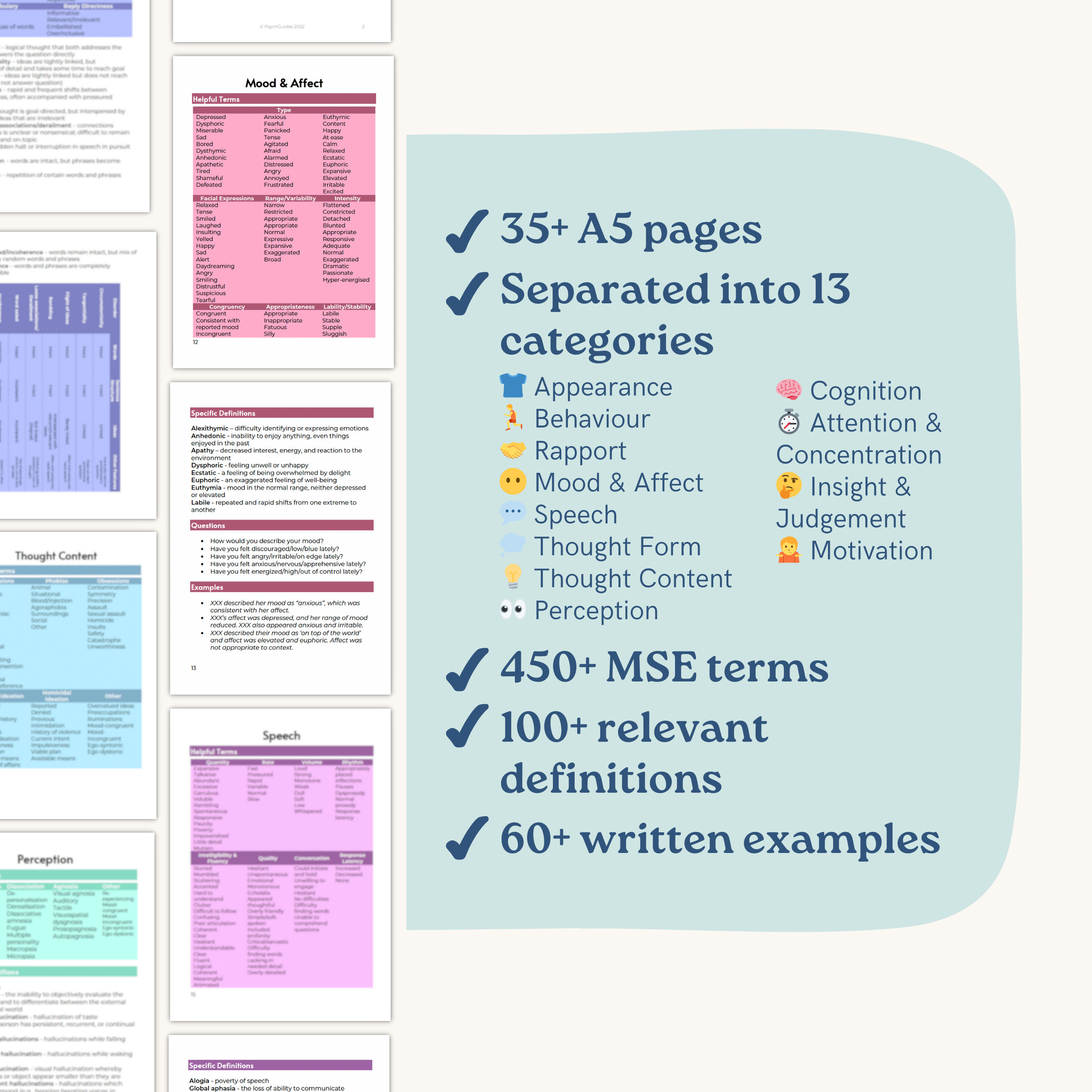 Mental Status Exam Note Writing Guide - Descriptors, Definitions ...