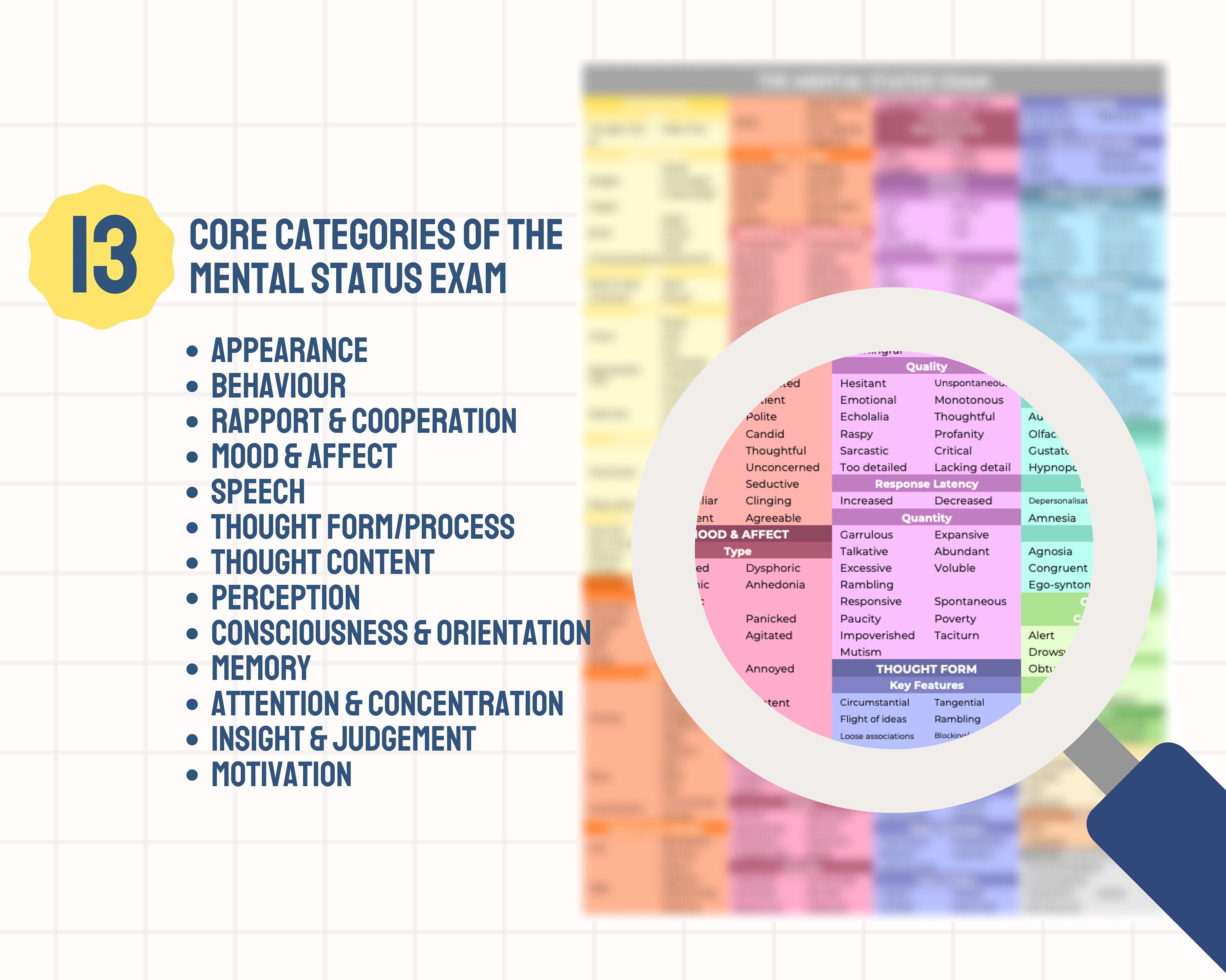 Mental Status Exam MSE Cheatsheet Perfect for Mental Health Clinicians ...