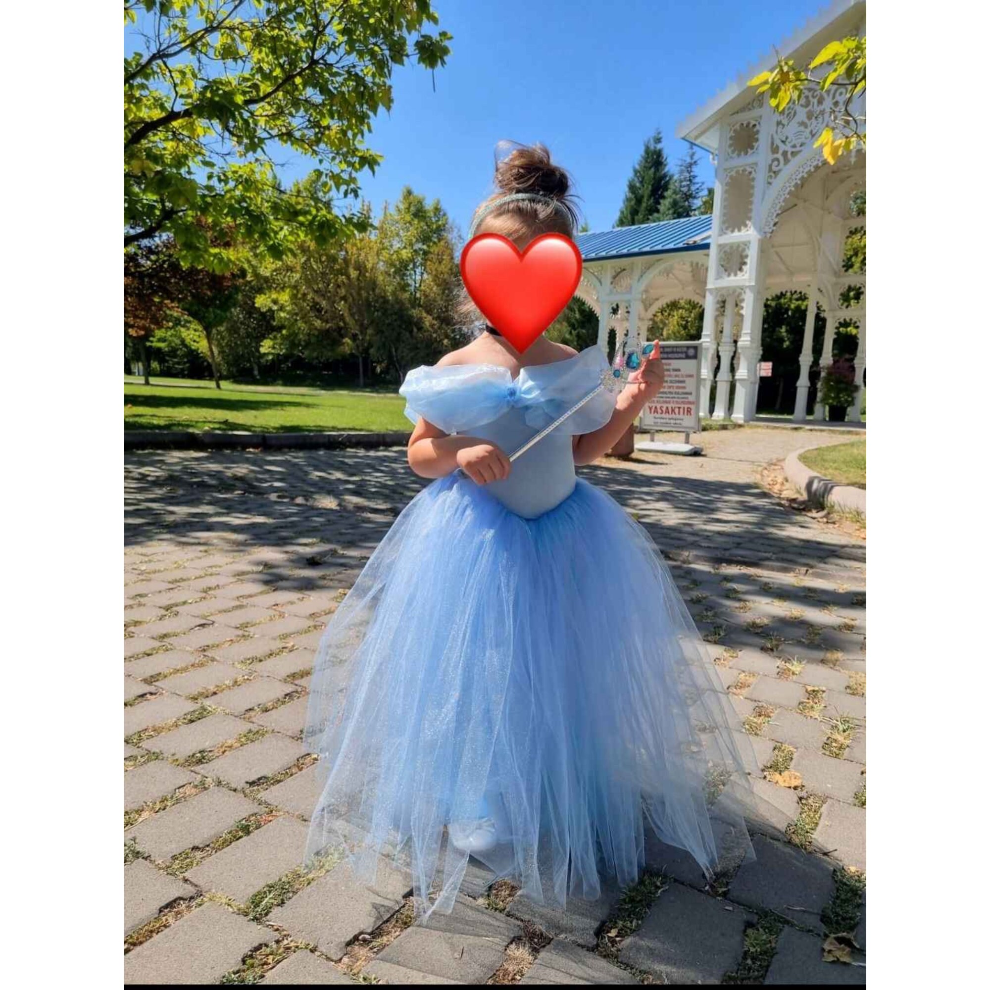 Princess Cinderella Dress in Blue for Girls, Girls Cinderella Costume ...