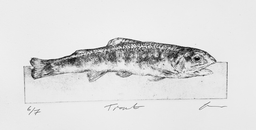 Brooky – River Trout Dry Point Print – 14x17cm – Hand Printed Signed ...