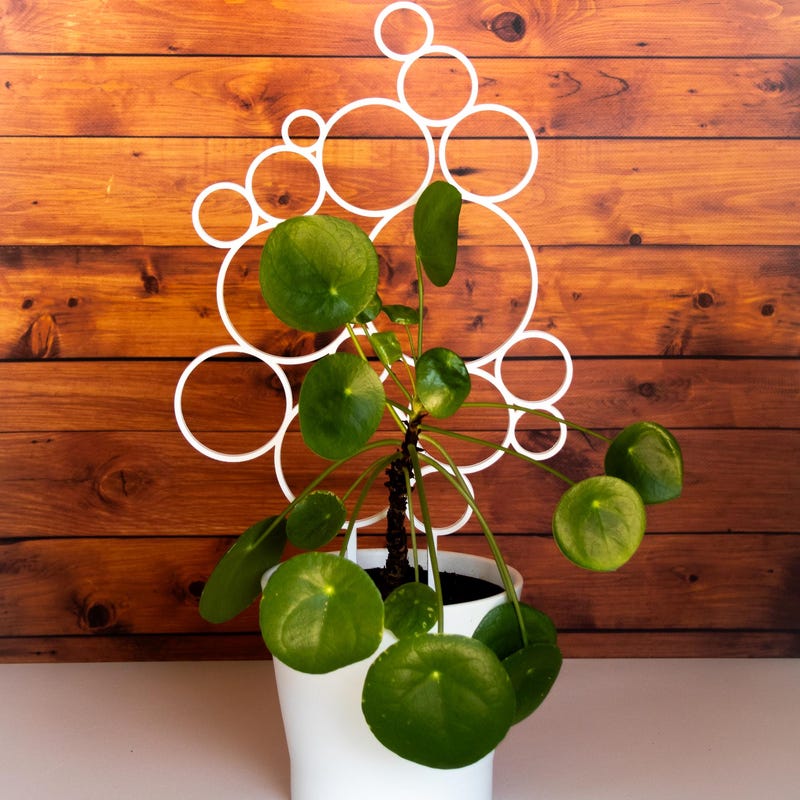 Circle Trellis - Etsy UK