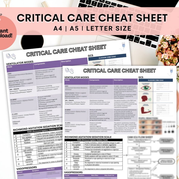 Vasopressor Cheat Sheet - Etsy