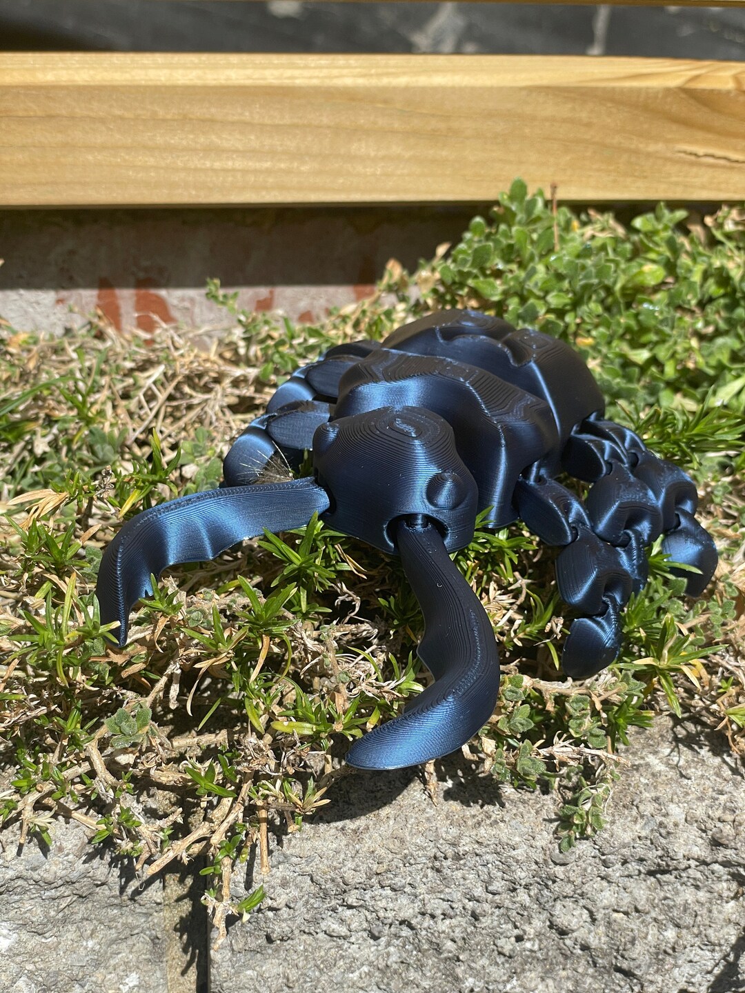 Beetle Articulated - MULTI SIZE - Fidget Toy - Desk Toy - ALL Colours ...