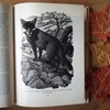 Vintage Book of Common Beasts. Super Cute Vintage Animal Book. Perfect ...