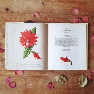 Very Pretty Vintage Flower Book. One for Your Arty Garden Pal. Country ...
