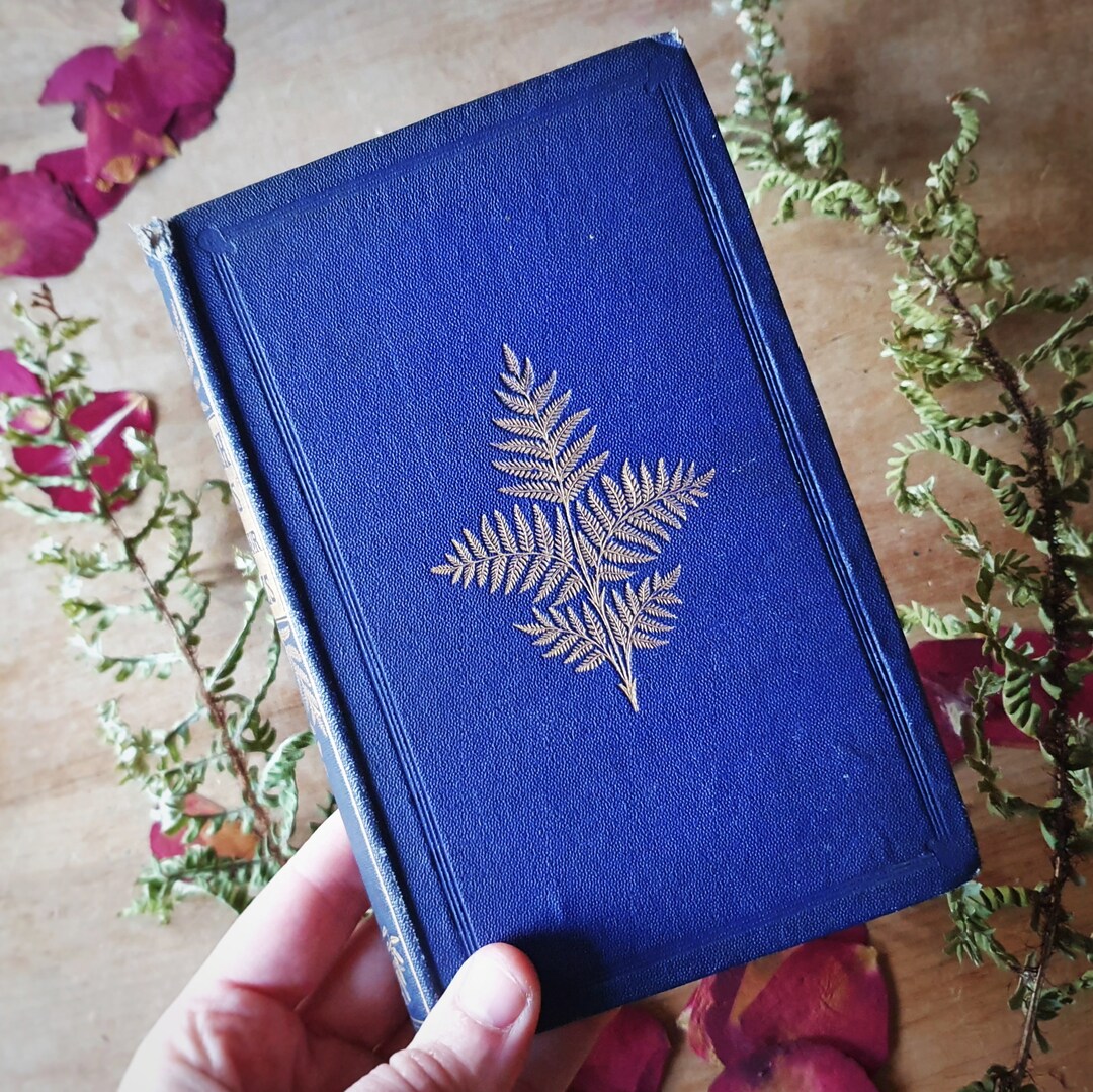 1860s Antique Fern Book. Moore the Fern and It's - Etsy