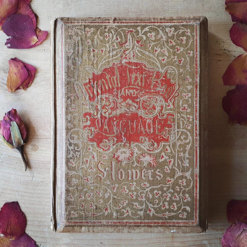 Victorian Language of Flowers Book. Floriography From the 1870s. Very ...