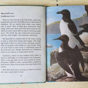 Vintage Ladybird Nature Books Series 536. Birds, Flowers + More Natural ...