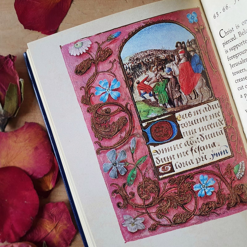Book Plates Hand Coloured - Etsy UK