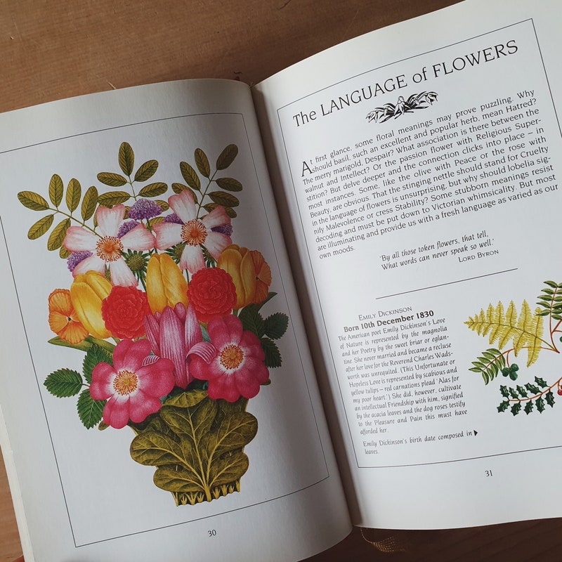 Botanical Book Plate - Etsy