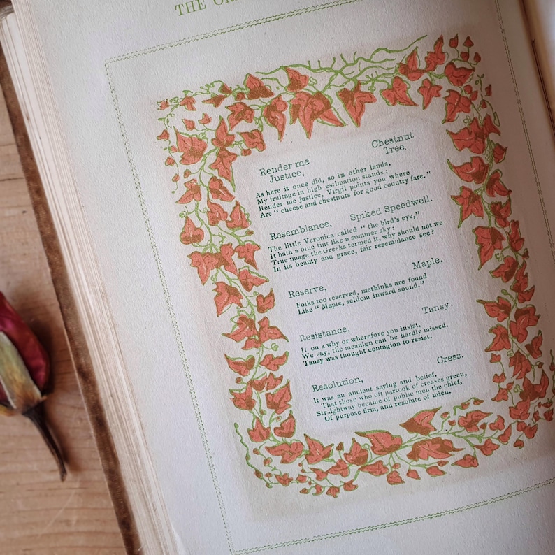 Victorian Language of Flowers Book. Floriography From the 1870s. Very ...