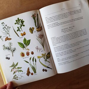 Illustrated Book of Herbs & Spices. Culinary and Medicinal Aspects of ...