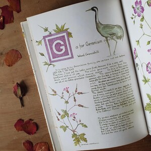 Very Pretty Vintage Flower Book. an Illustrated A to Z of Wildflowers ...