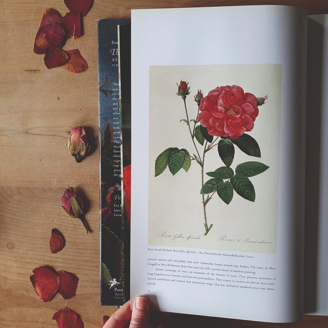 Book of Roses. Large Anthology Flower Book. Full of Art and Poetry ...