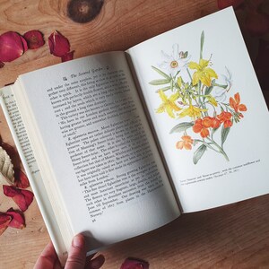 Pretty Vintage Book of Fragrant Flowers & Remedies. Perfumed Flower ...