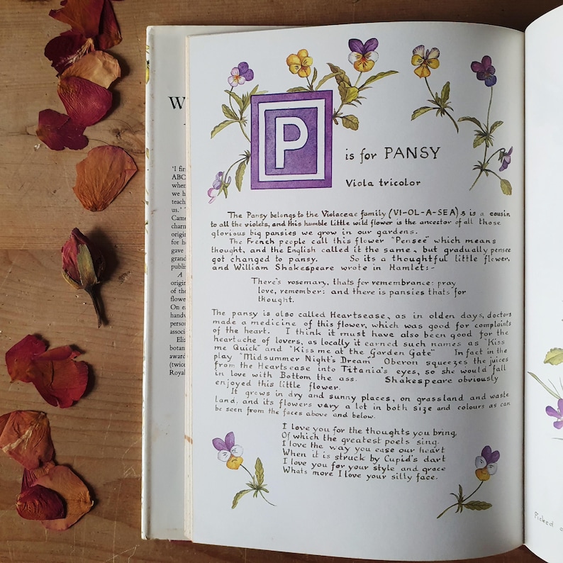 Very Pretty Vintage Flower Book. an Illustrated A to Z of Wildflowers ...