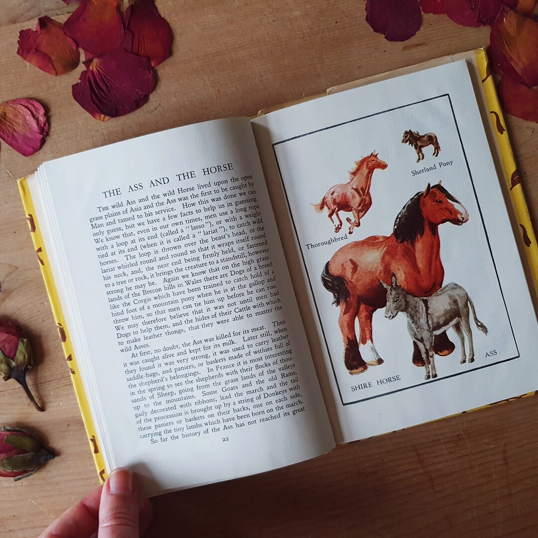 Vintage Book of Common Beasts. Super Cute Vintage Animal Book. Perfect ...