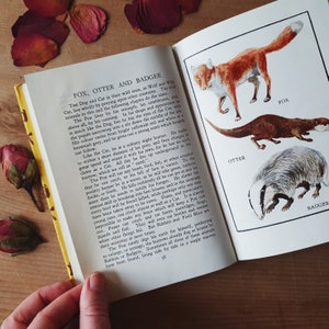 Vintage Book of Common Beasts. Super Cute Vintage Animal Book. Perfect ...