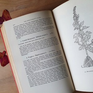 Vintage Book of Wildflowers, Herbs & Folklore. "the Englishman's Flora ...