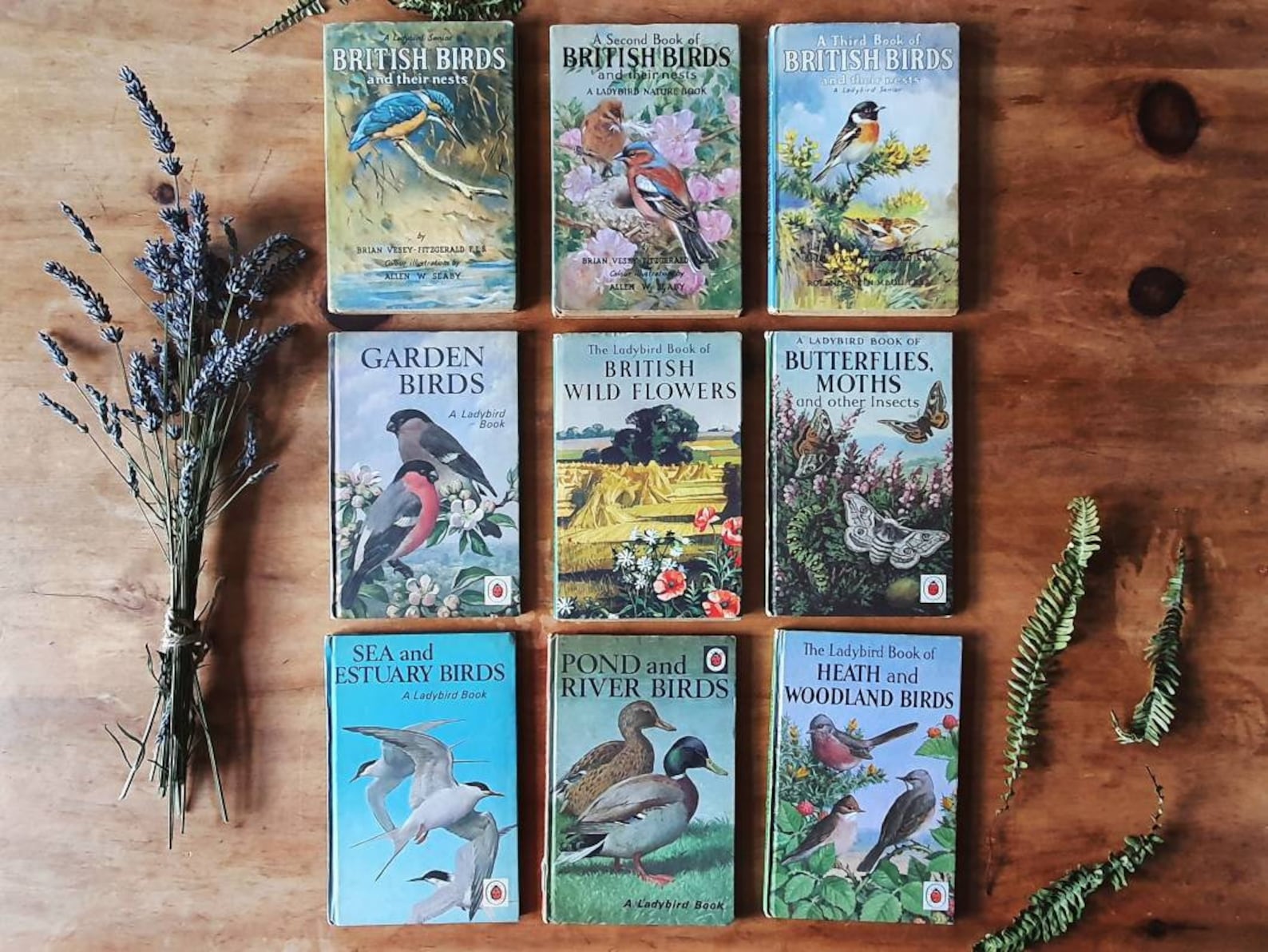 Vintage Ladybird Nature Books Series 536. Birds, Flowers + More Natural ...